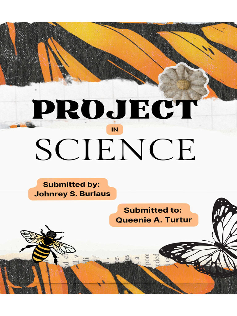 Johnrey Project in Science | PDF