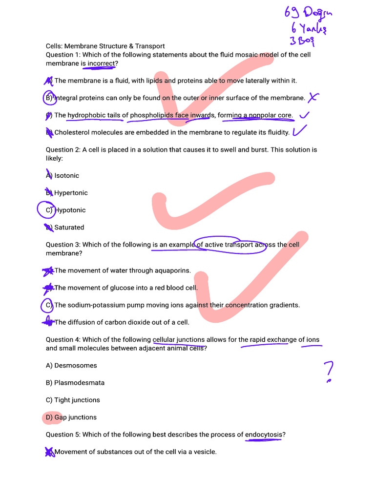 Cells - Membrane Structure & Transport - Google Dokümanlar | PDF