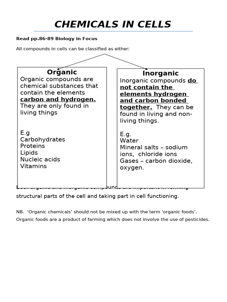 Chemicals in Cells Student Wsheet | PDF | Carbohydrates | Proteins
