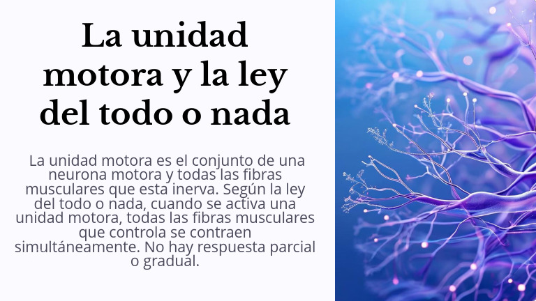 Unidad Motora | PDF