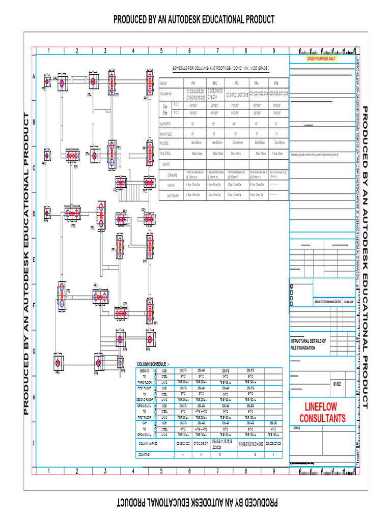 PILE AND PILE CAP SCHEDULE FOR TURAKNE SIR 16 02 26_083131 | PDF ...