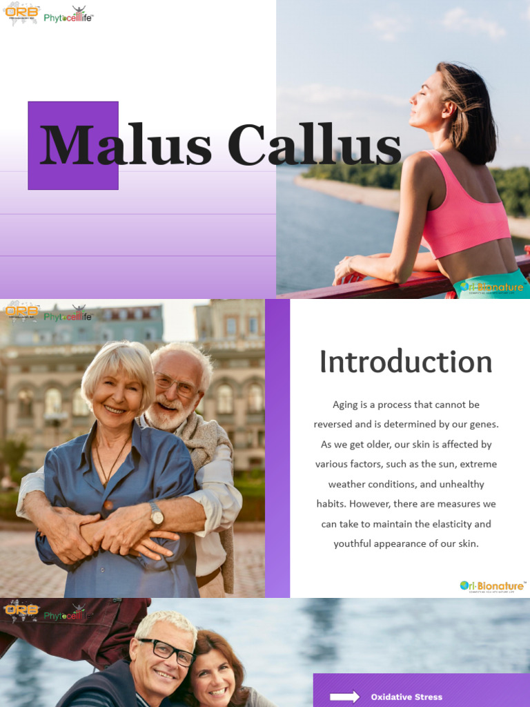Malus callus.pptx-1-25 (1) | PDF | Berry | Antioxidant
