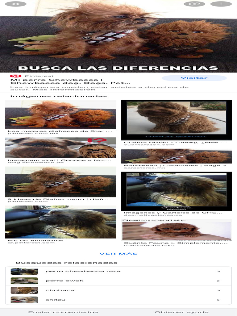 chewbacca perro - Búsqueda de Google | PDF