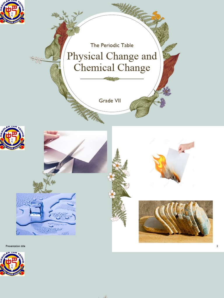 Physical and Chemical Change | PDF | Chemical Reactions | Combustion