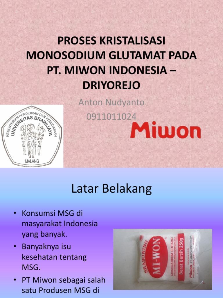 Proses Kristalisasi Monosodium Glutamat Pada PT | PDF