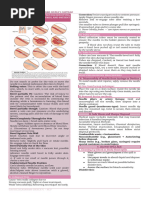 Tristel Fuse Cleaning Solution Guide | PDF