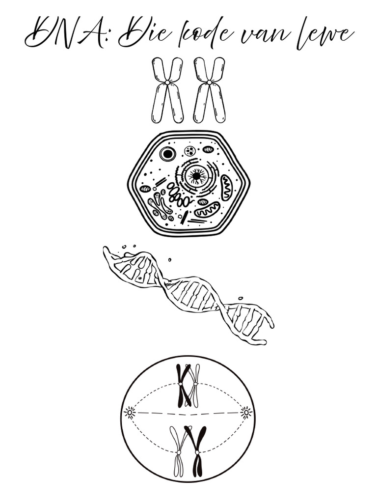 DNA Die Kode Van Lewe | PDF