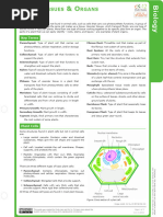 Grade 10 Plant Tissues & Organs Notes | PDF