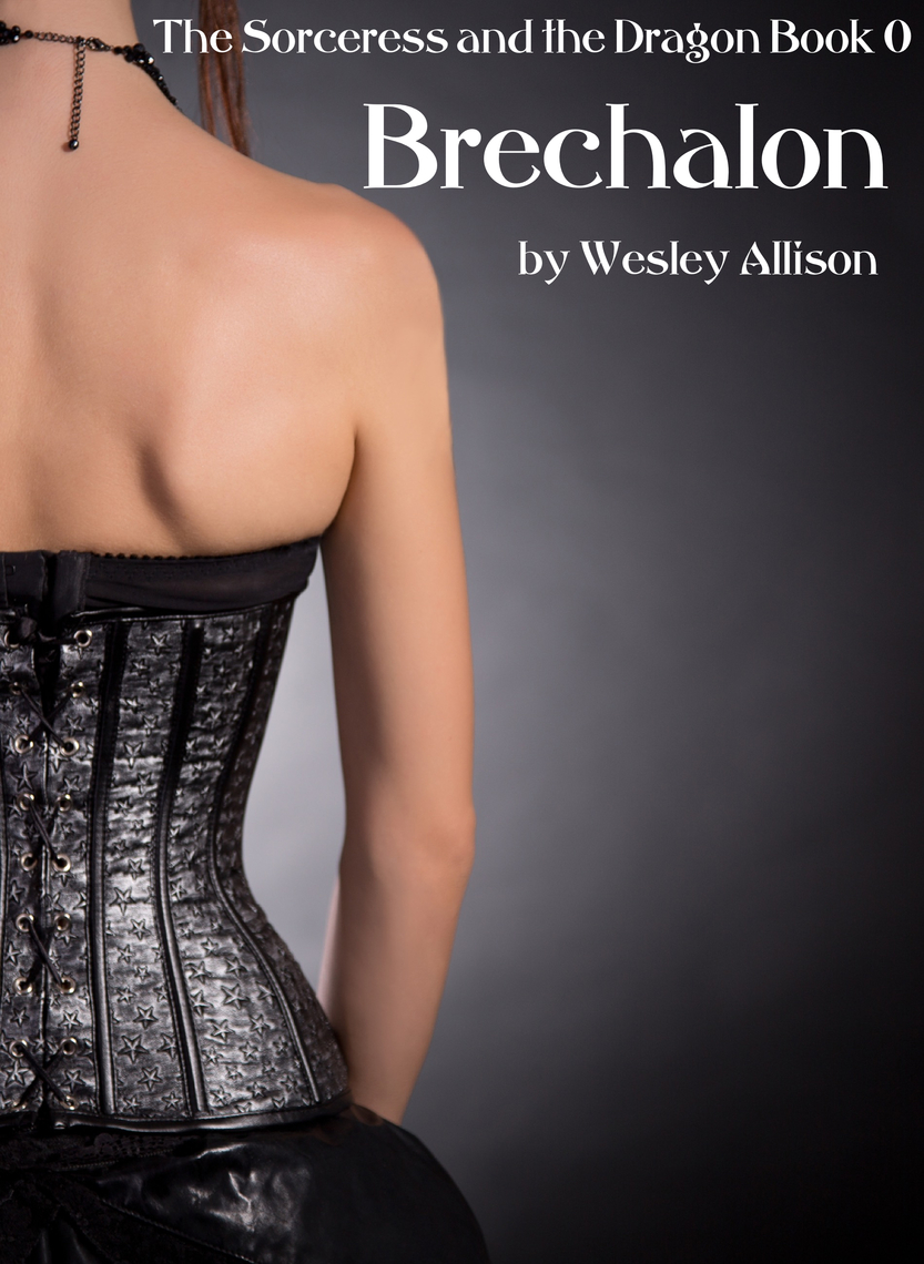 Senta and the Steel Dragon Series by Wesley Allison - ebook | Everand