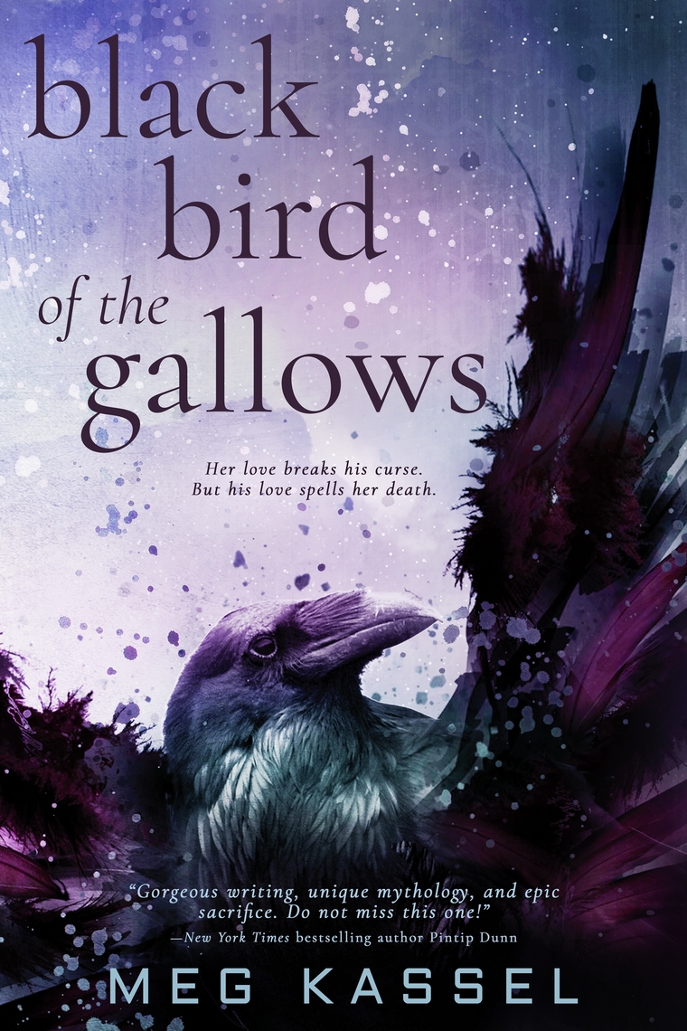 Black Bird of the Gallows Series by Meg Kassel - ebook | Everand