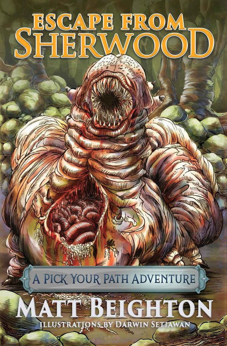 Pick Your Path Adventures Series - ebook | Everand
