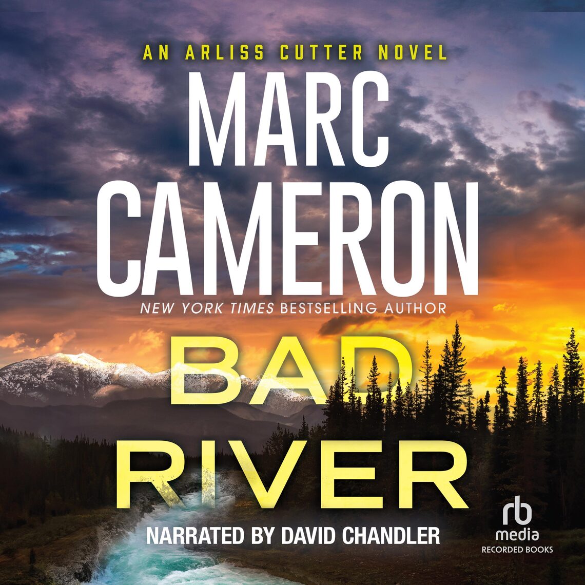 Arliss Cutter Series by Marc Cameron - audiobook | Everand