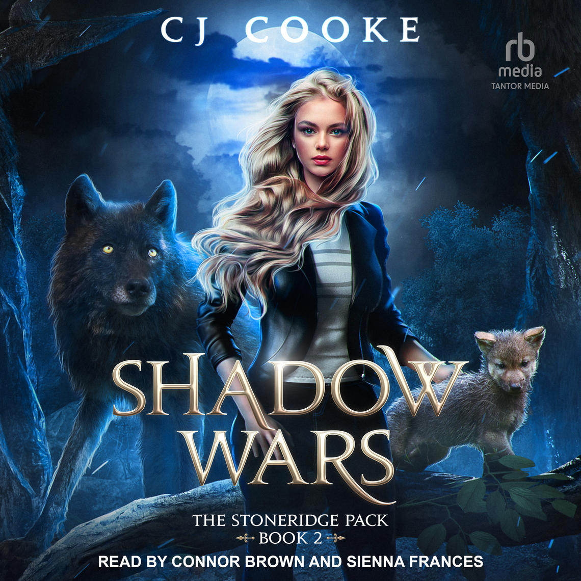 Stoneridge Pack Series by CJ Cooke - audiobook | Everand