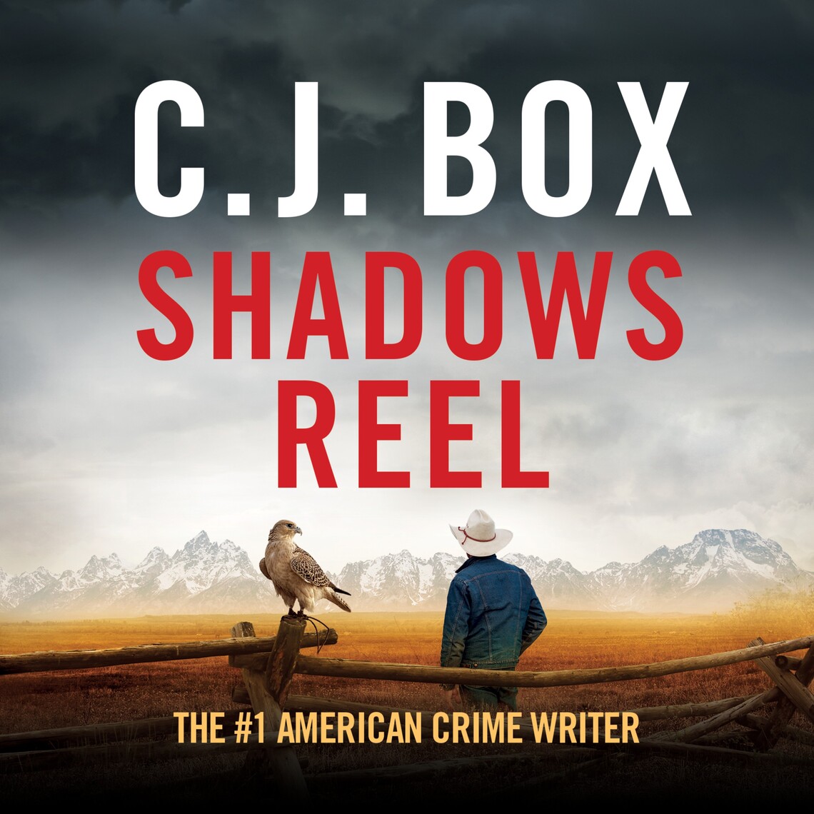 Joe Pickett Series by C. J. Box - audiobook | Everand