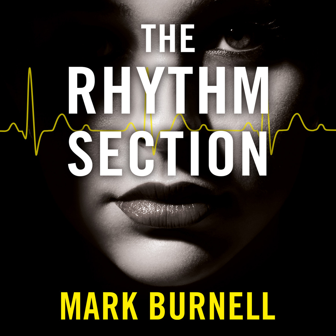 The Stephanie Fitzpatrick series by Mark Burnell - audiobook | Everand