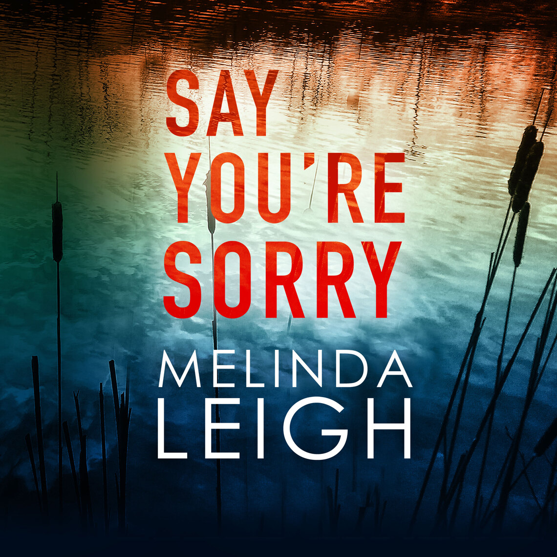 Morgan Dane Series by Melinda Leigh - audiobook | Everand