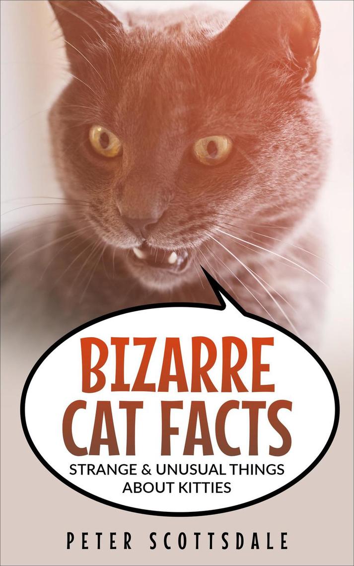 Our Bizarre Cats Series by Peter Scottsdale - ebook | Everand
