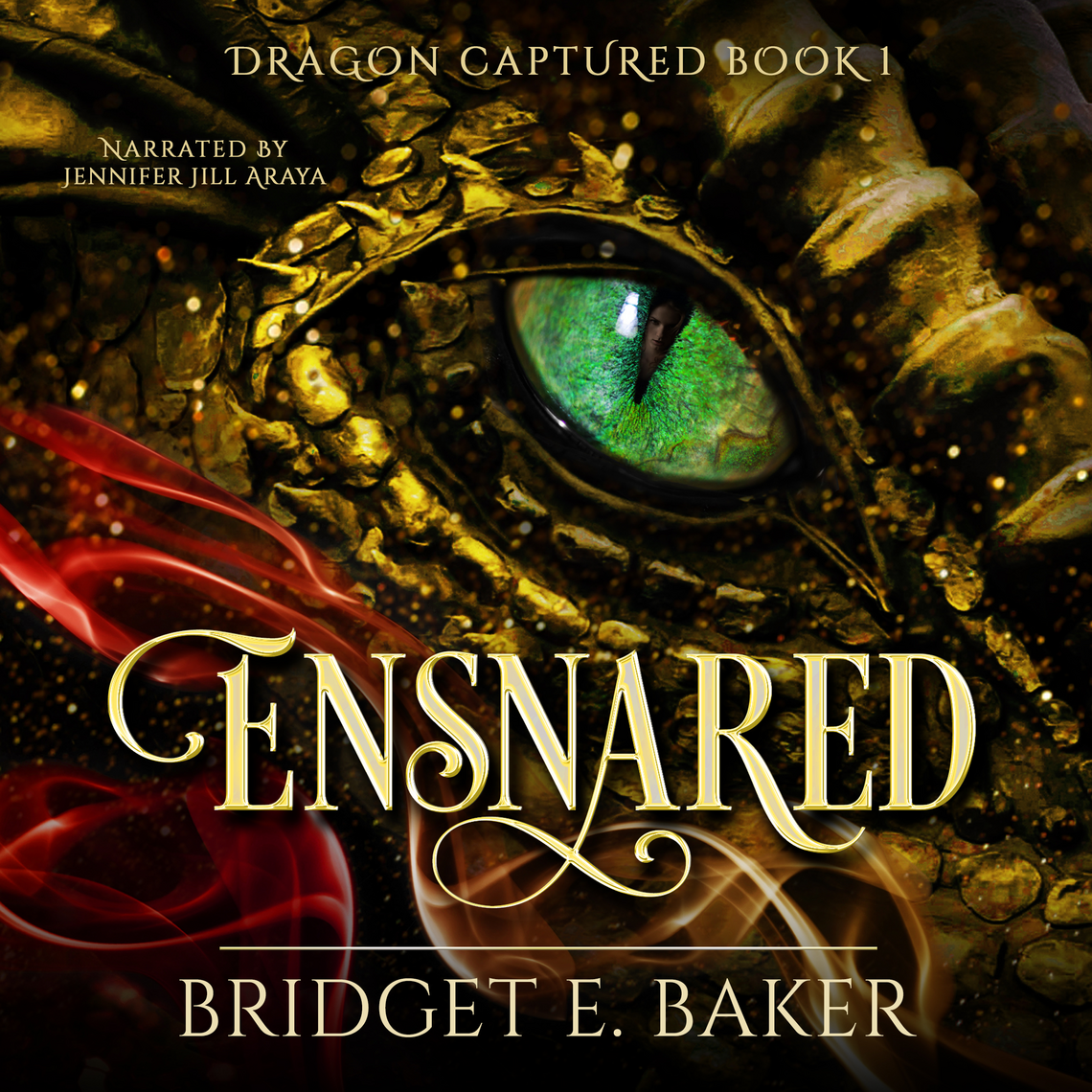 The Dragon Captured Series by Bridget E. Baker - audiobook | Everand