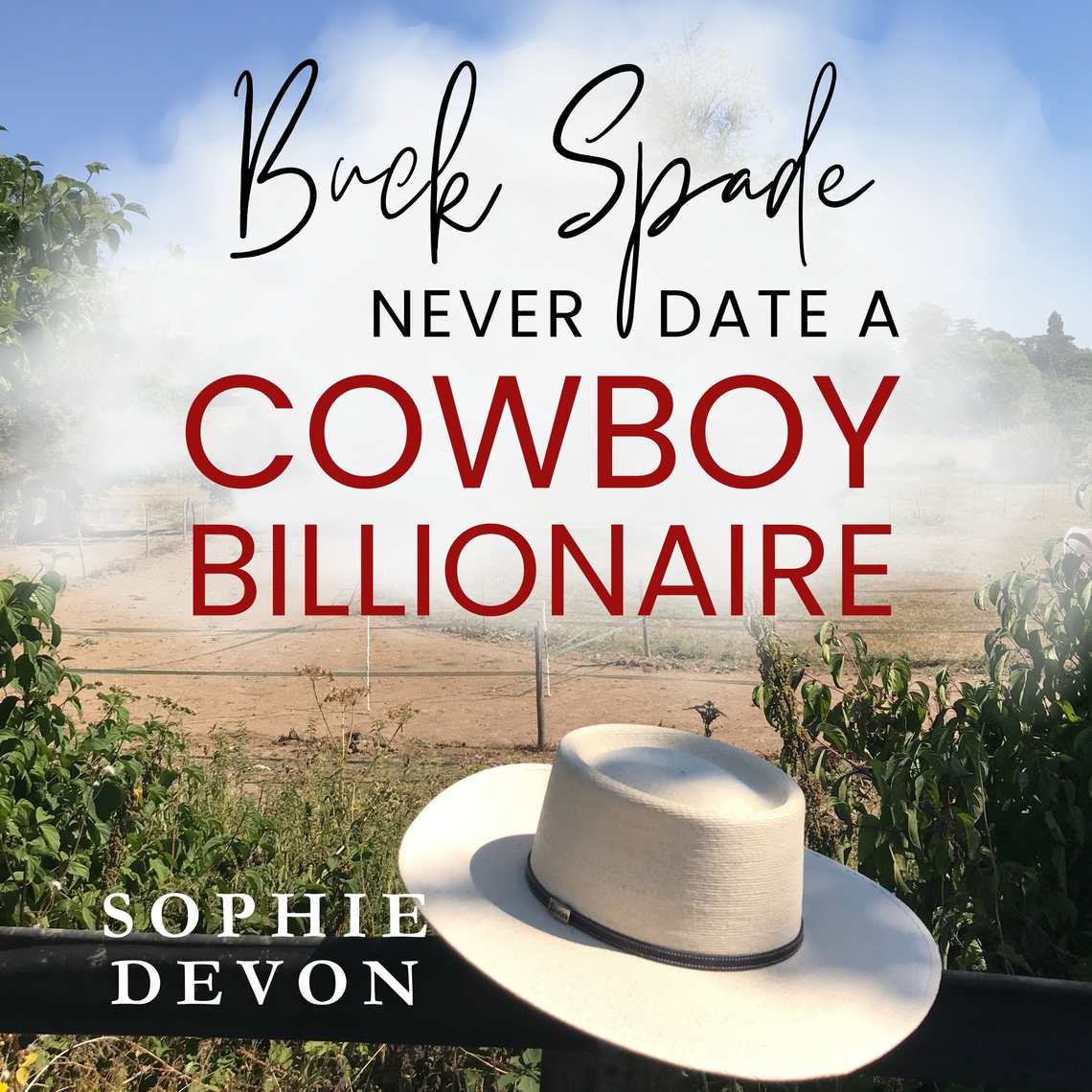 Spade Brothers Ranch Series by Sophie Devon - audiobook | Everand