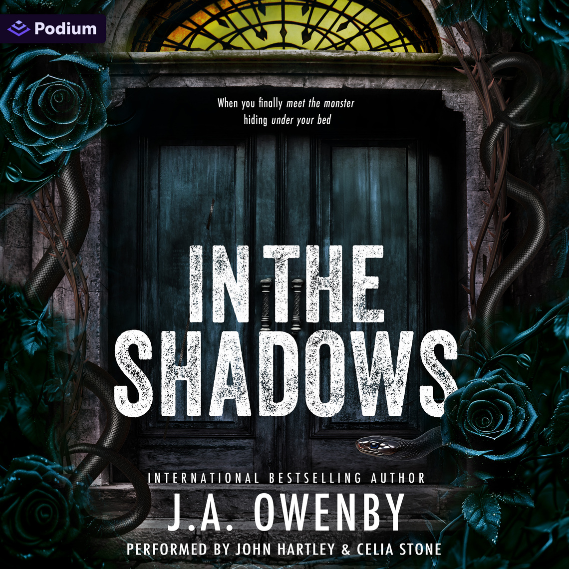 The Shadows Series by J.A. Owenby - audiobook | Everand