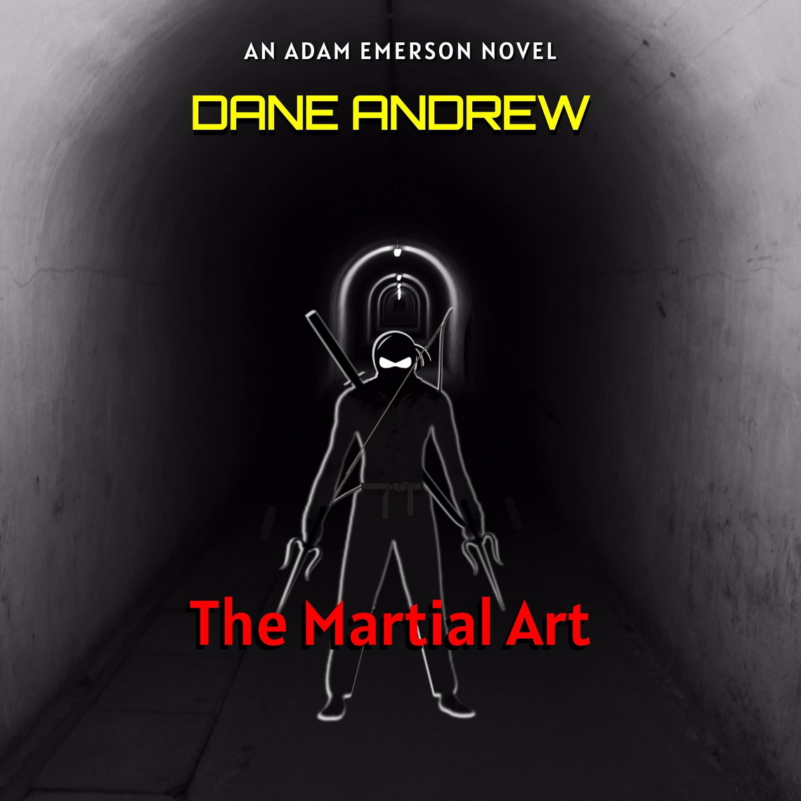 Adam Emerson Novels Series by Dane Andrew - audiobook | Everand