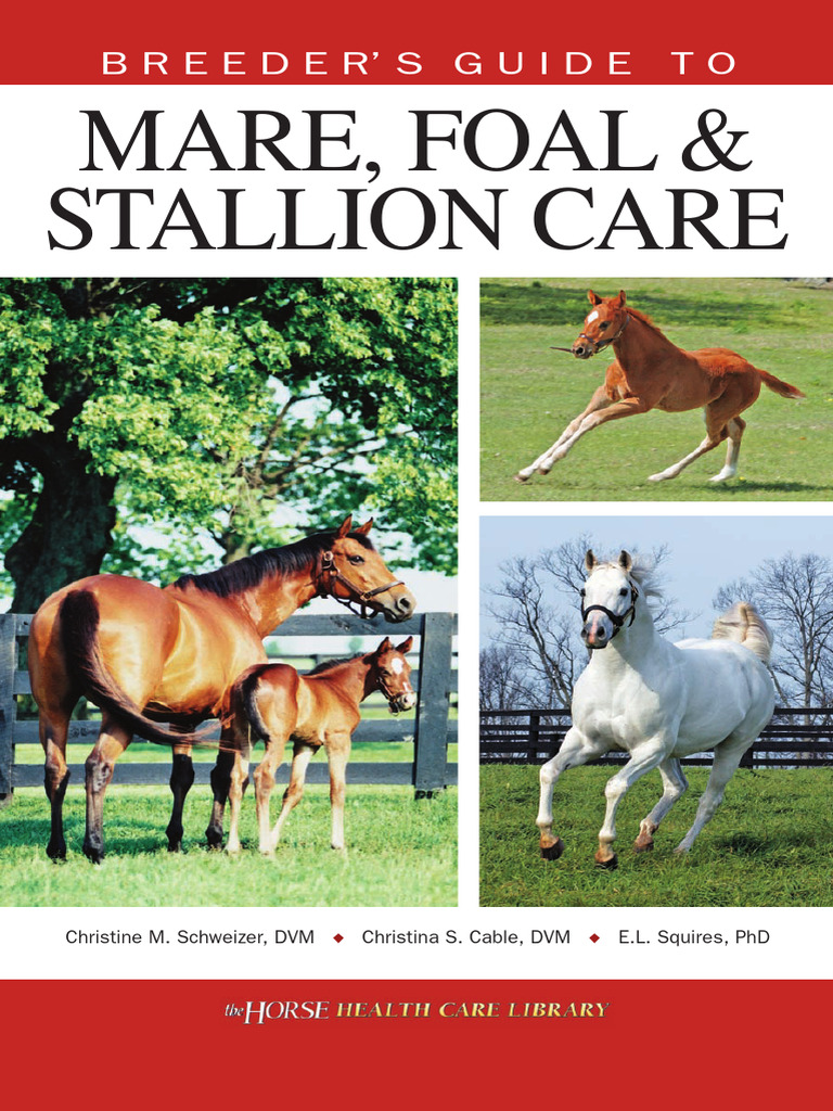 Breeder's Guide to Mare, Foal, and Stallion care by Christina S. Cable ...