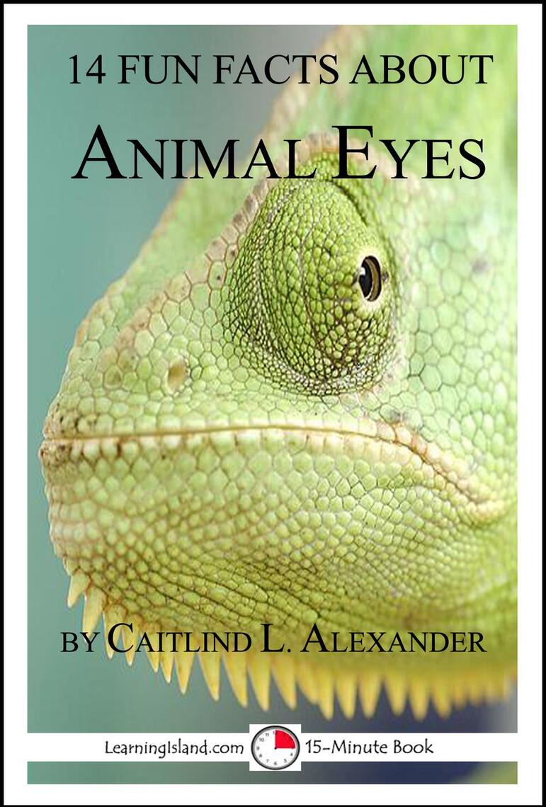 14 Fun Facts About Animal Eyes: A 15-Minute Book by Caitlind L ...