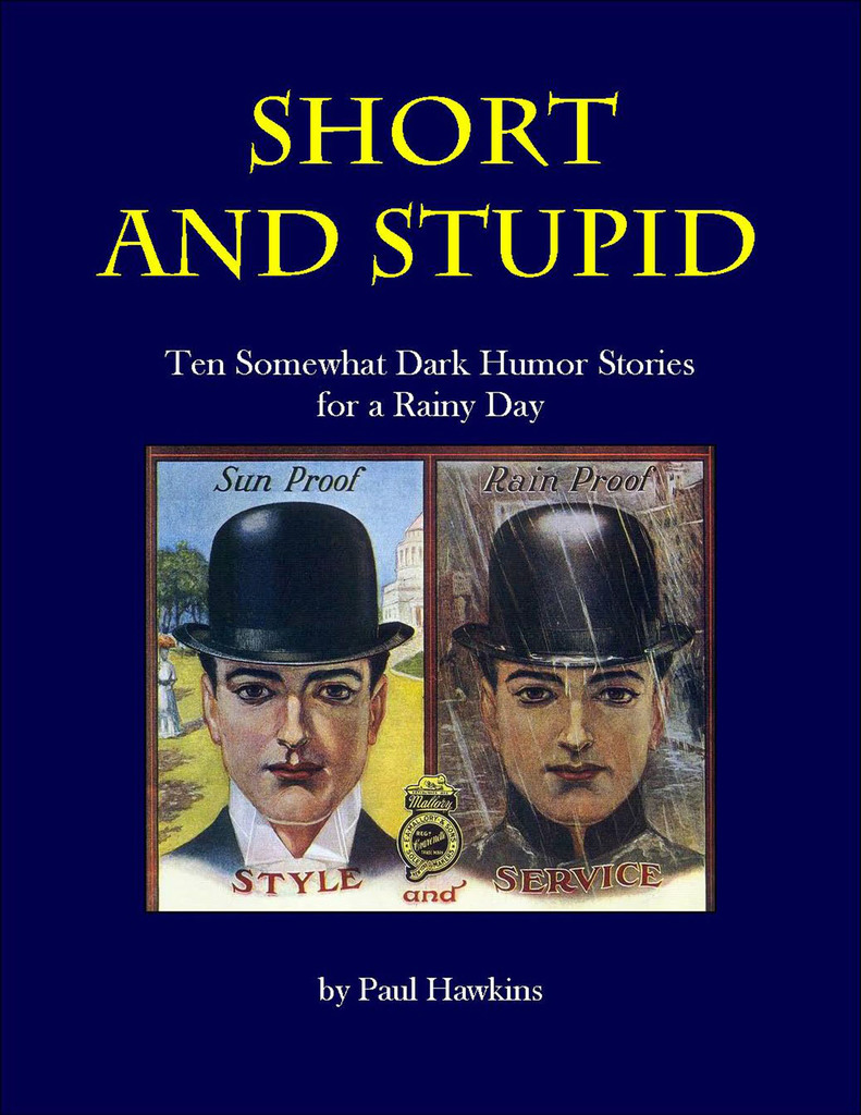 Short and Stupid: Ten Somewhat Dark Short Stories for a Rainy Day by ...