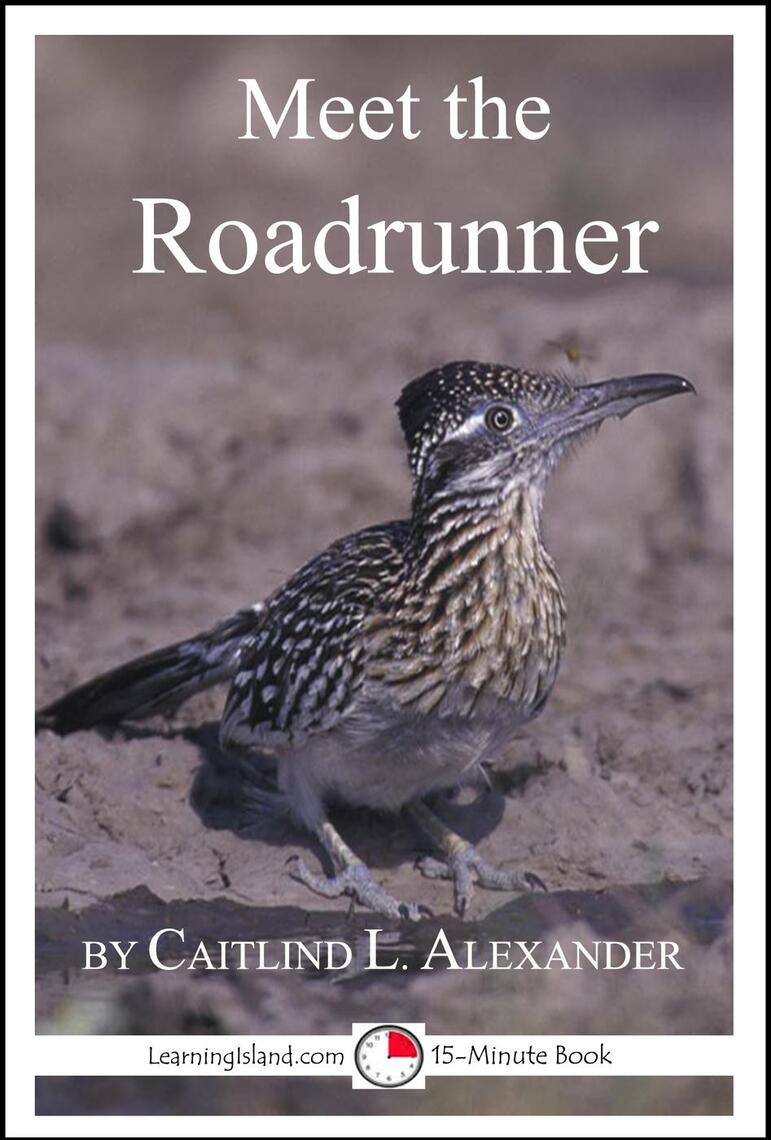 Meet the Roadrunner: A 15-Minute Book for Early Readers by Caitlind L. Alexander (Ebook) - Read ...