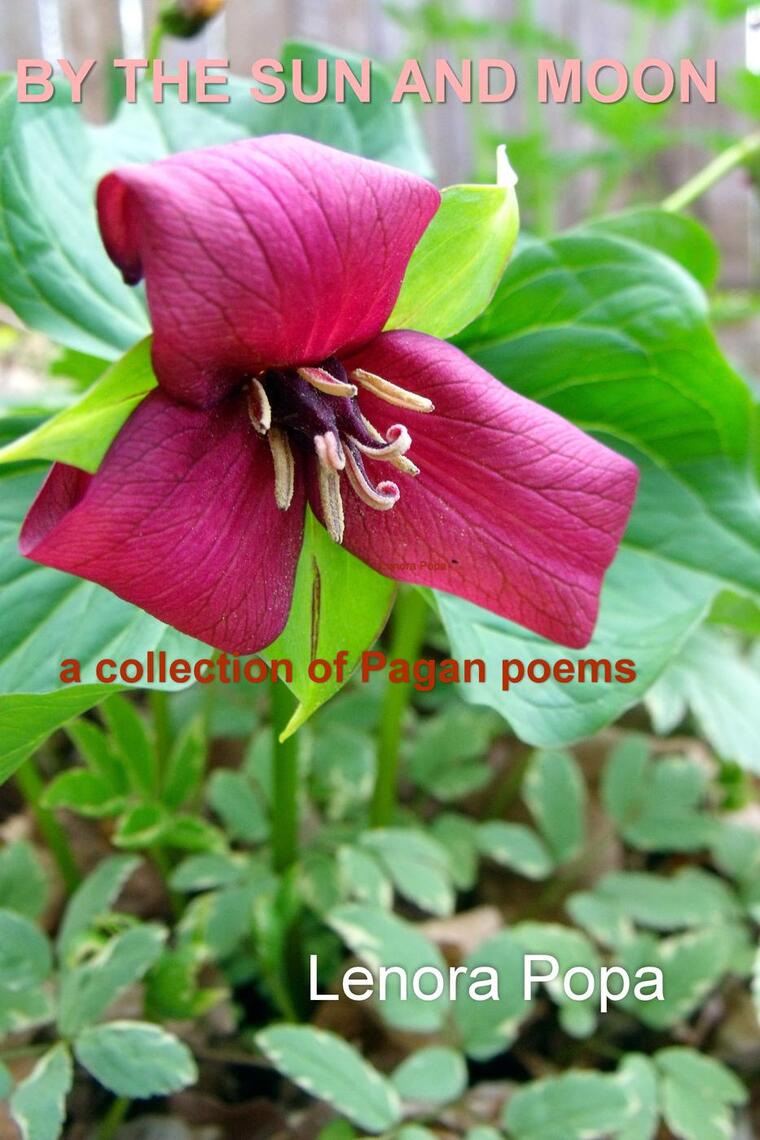 By the Sun and Moon: a collection og Pagan Poems by Lenora Popa - Ebook ...