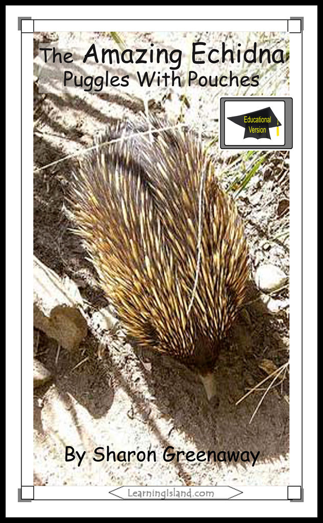 The Amazing Echidna: Puggles in Pouches: Educational Version by Sharon ...