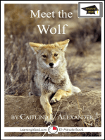 All Wolf Ranks - Powerful Wolves PDF | PDF | Pack (Canine)