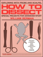 Mink Dissection Instructions | PDF | Coronary Circulation | Heart
