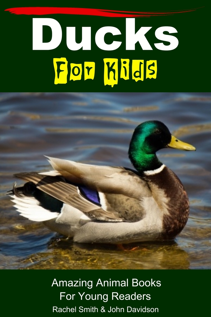Ducks For Kids: Amazing Animal Books For Young Readers by Rachel Smith ...