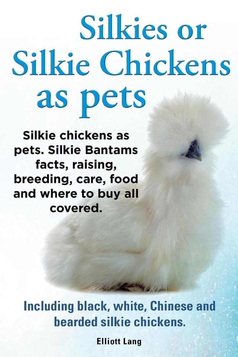 Silkies or Silkie Chickens as pets. Silkie chickens as pets. Silkie ...