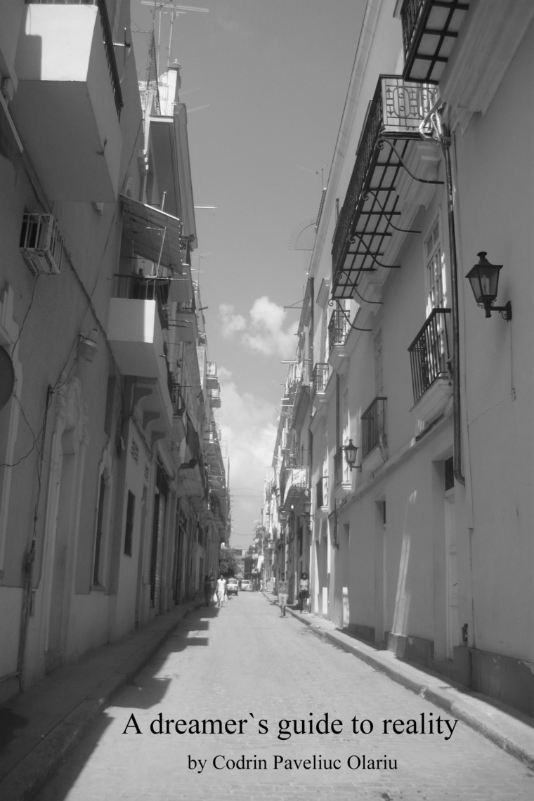 A Dreamer`s Guide To Reality by Codrin Paveliuc Olariu - Ebook | Everand