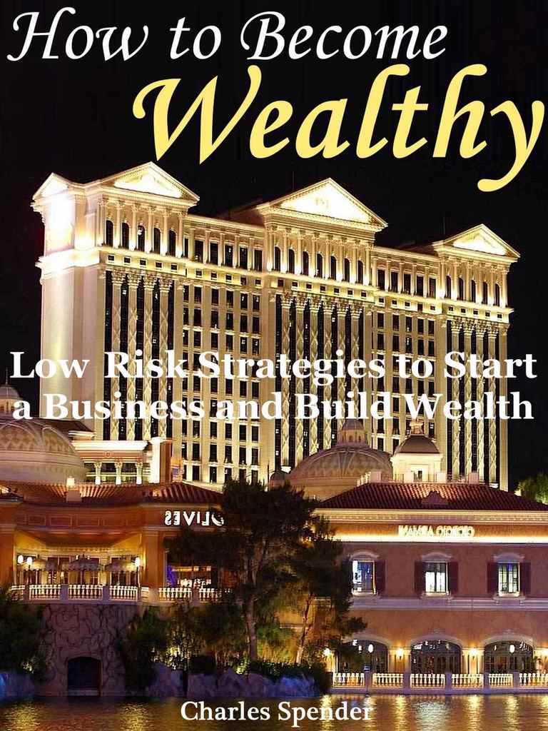 How to Become Wealthy: Low Risk Strategies to Start a Business and ...