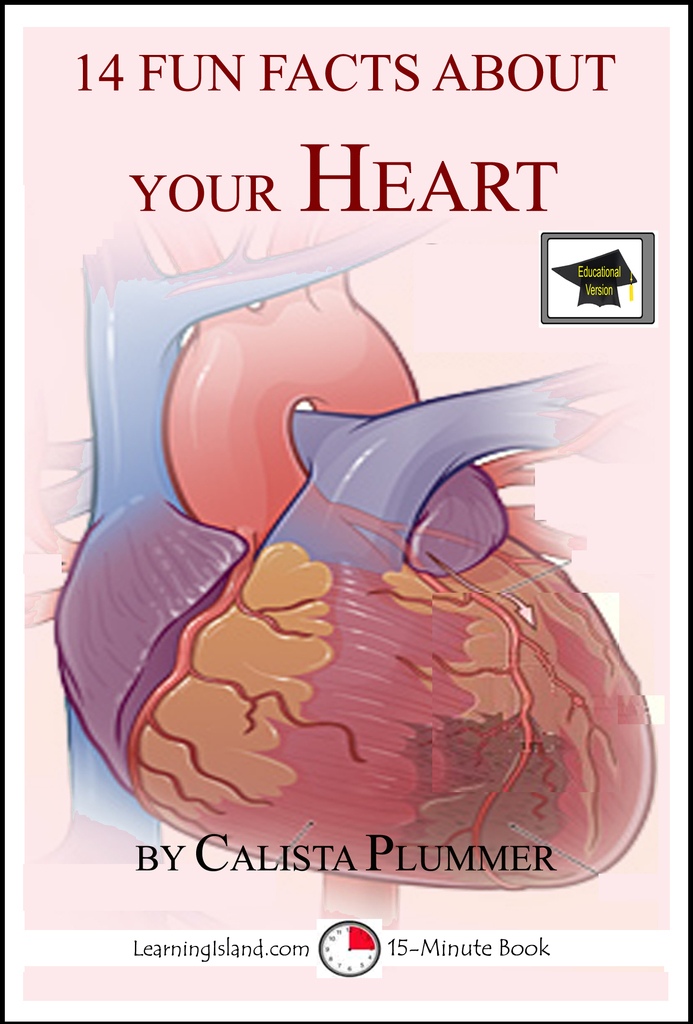 14 Fun Facts About Your Heart Educational Version By Calista Plummer