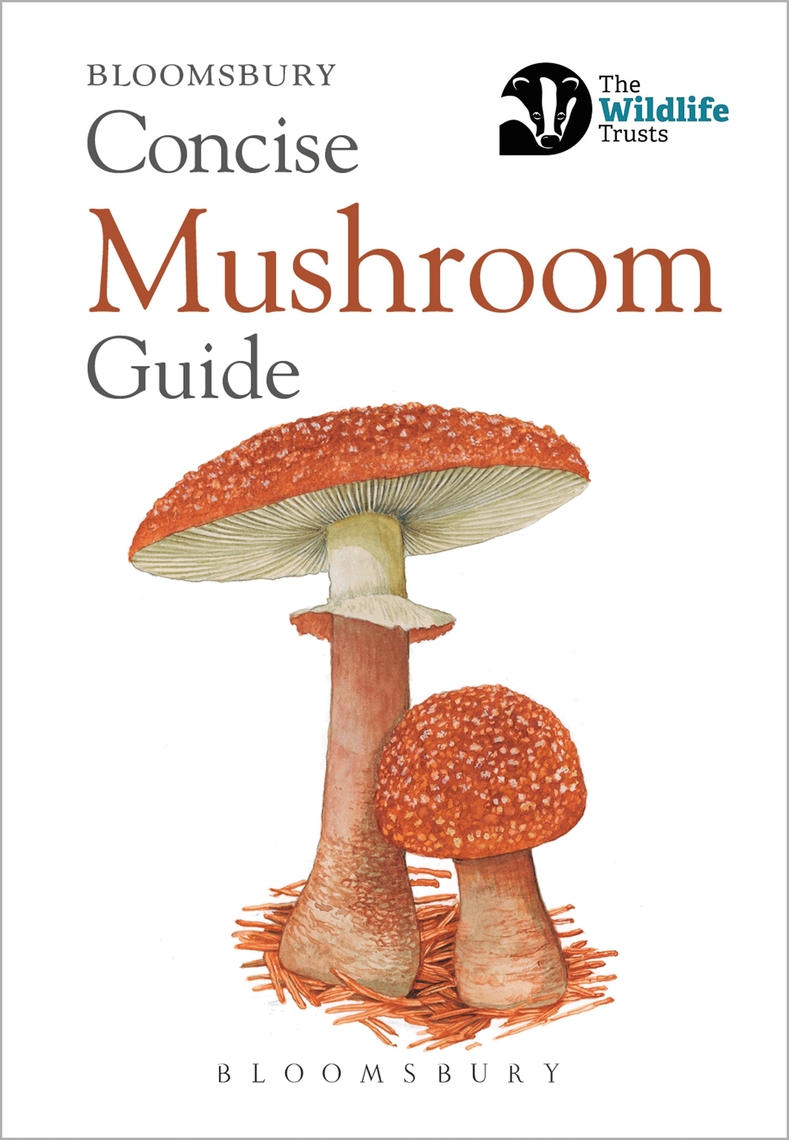 Concise Mushroom Guide by Bloomsbury (Ebook) - Read free for 30 days