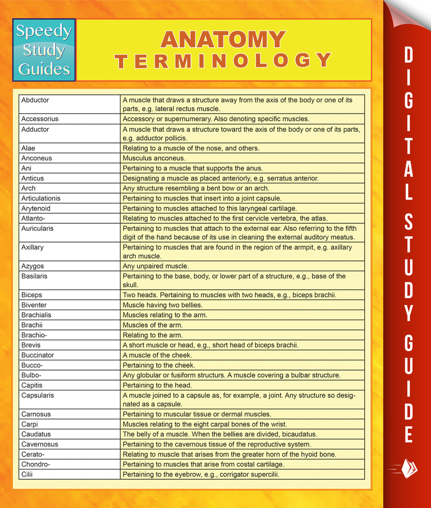 Anatomy Terminology by Speedy Publishing - Ebook | Everand
