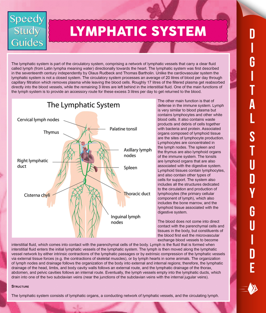 Lymphatic System by Speedy Publishing - Book - Read Online