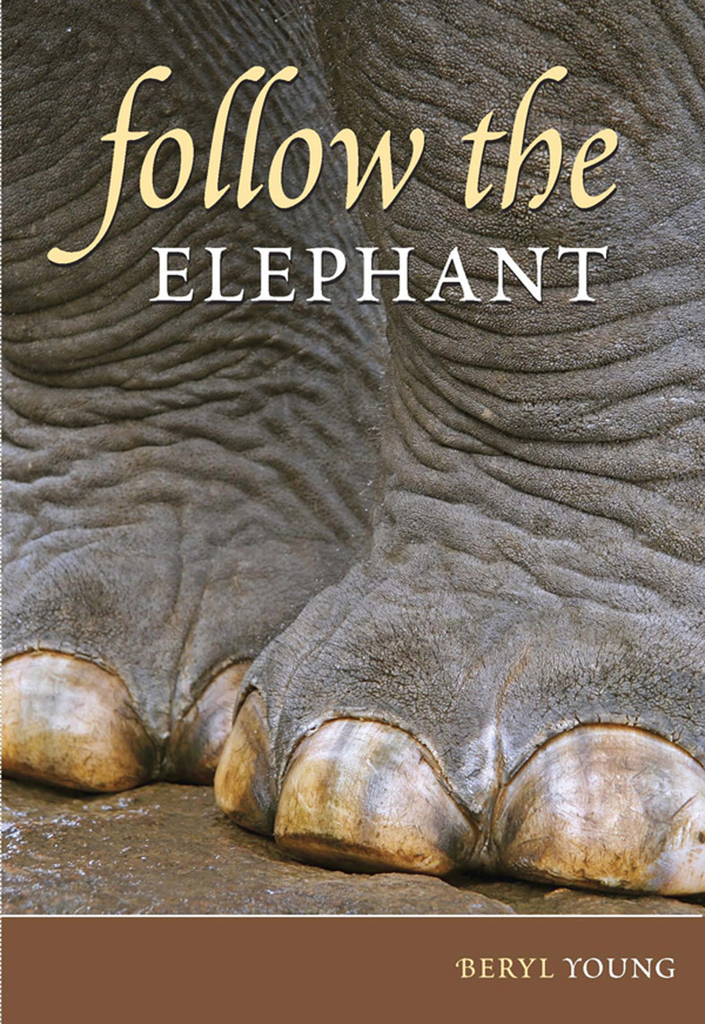 Follow the Elephant by Beryl Young (Ebook) - Read free for 30 days