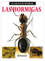 Insectos Sociales | PDF | Eusocialidad | Hormiga