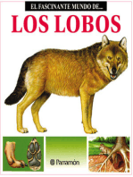 Lobos-continuemos-estudiando | PDF | Zoología