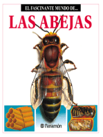Las Abejas | PDF