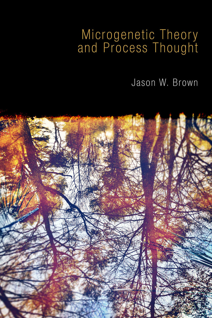 Microgenetic Theory and Process Thought by Jason W. Brown - Ebook | Everand