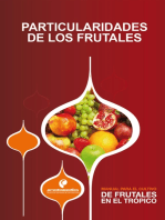 Manual para El Establecimiento de Una Huerta de Aguacate | PDF | Aguacate | Fertilizante
