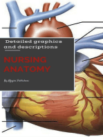 Blood and Circulation, iGCSE Biology | PDF | Circulatory System ...