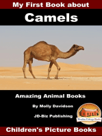 Myth about camels english | PDF | Camel | Domesticated Animals