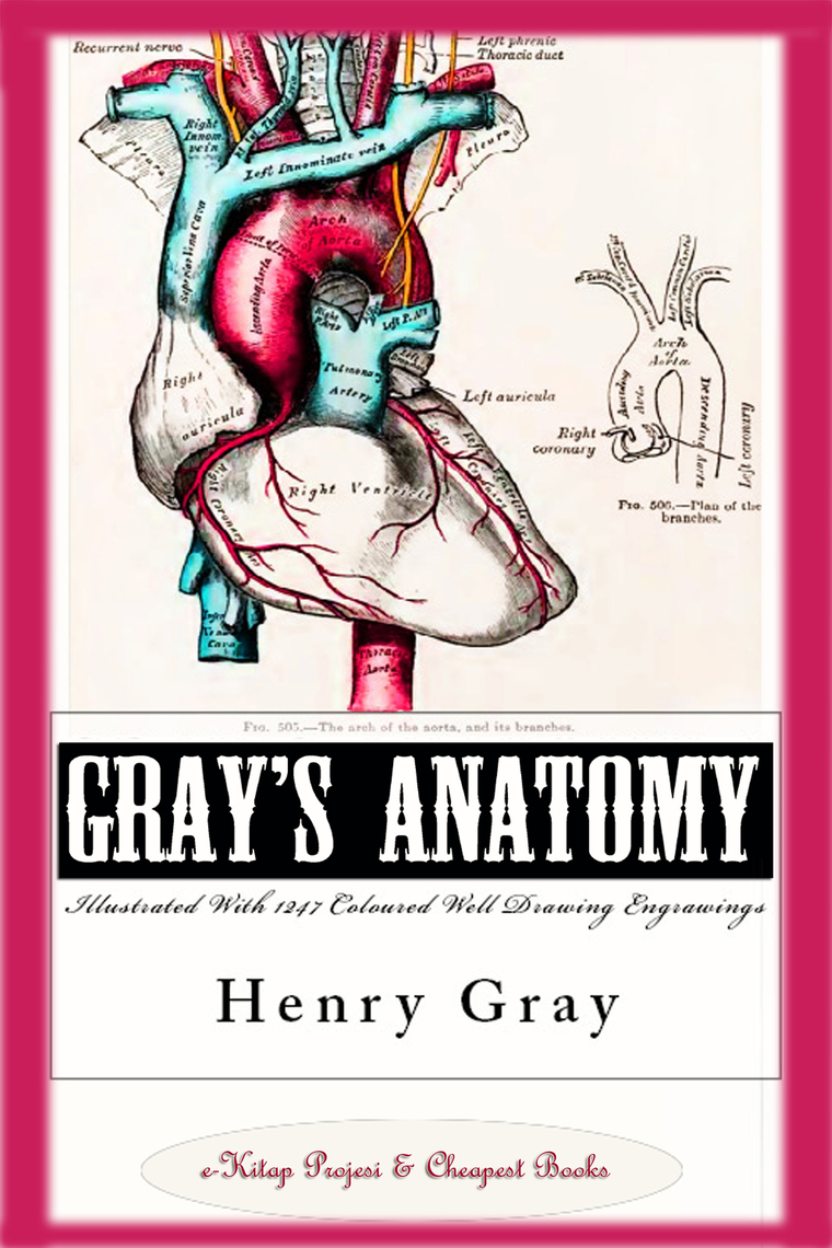 Gray’s Anatomy (Illustrated With 1247 Coloured Well Drawing Engrawings ...